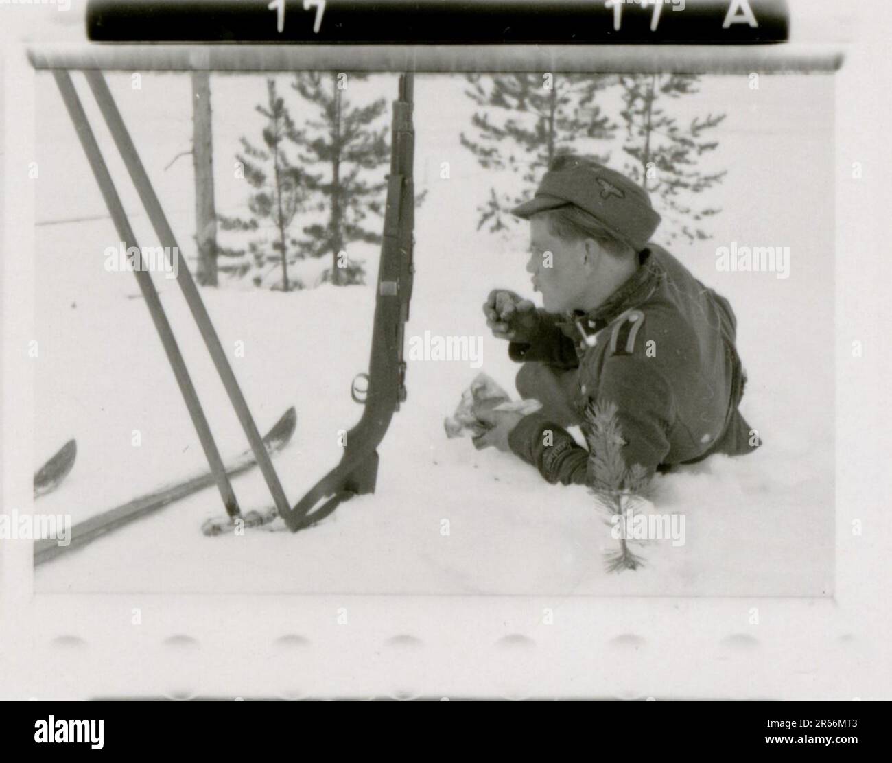 SS Photographer Blaurock, France, Finland 1942-44 SS Soldier portrait ...