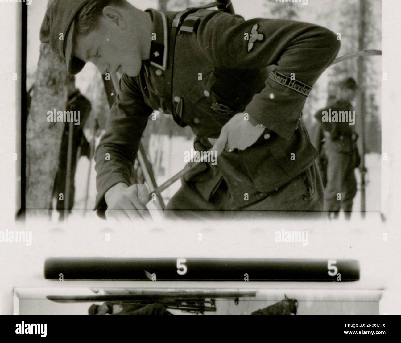 SS Photographer Blaurock, France, Finland 1942-44 SS Soldier portrait ...