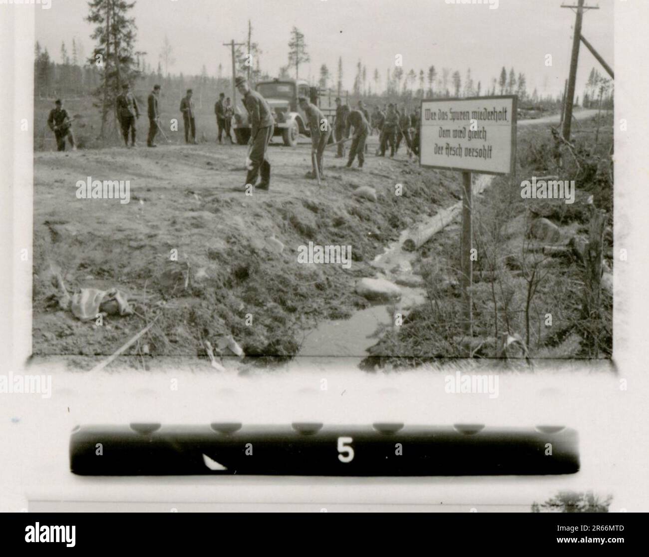SS Photographer Blaurock, France, Finland 1942-44 SS Soldier portrait ...