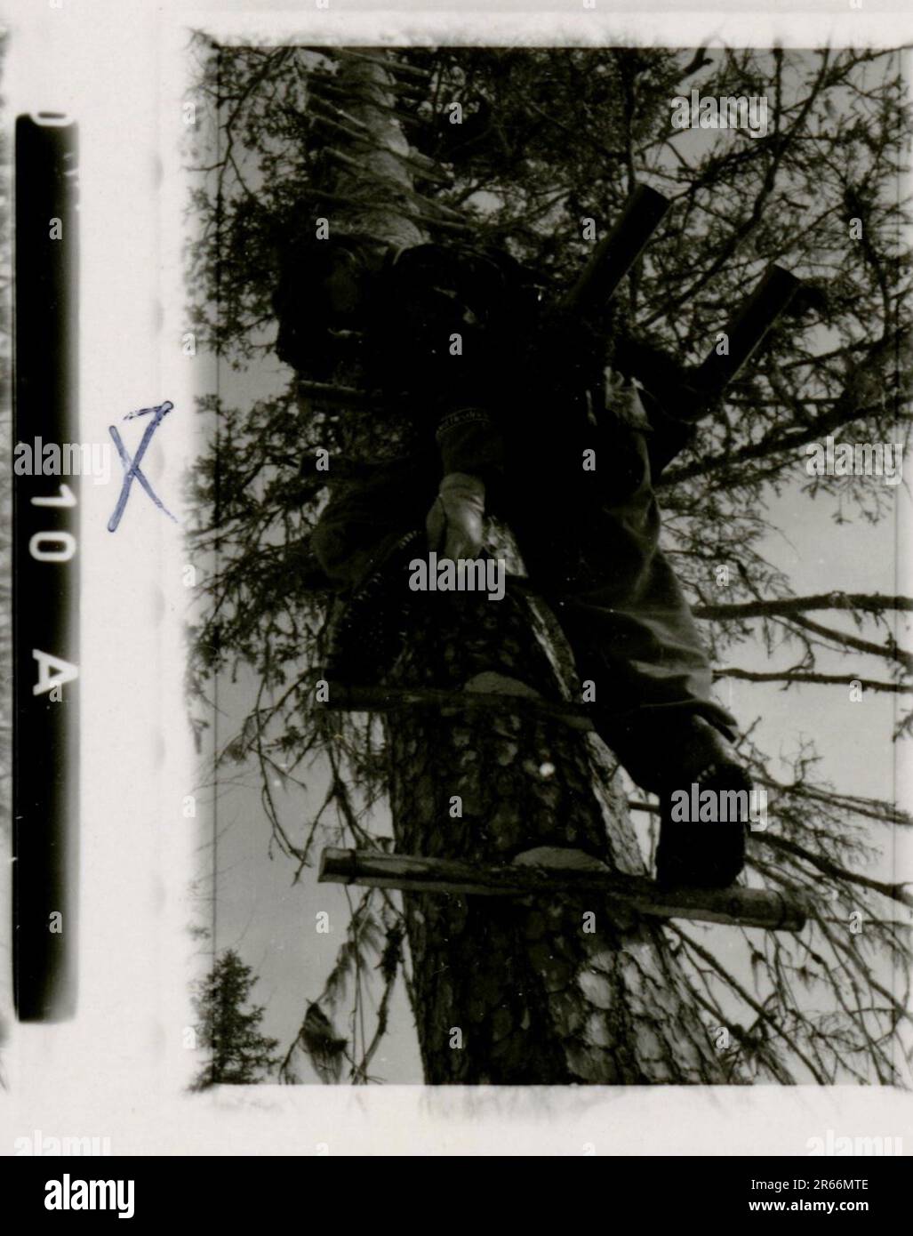 SS Photographer Blaurock, France, Finland 1942-44 SS Soldier portrait ...