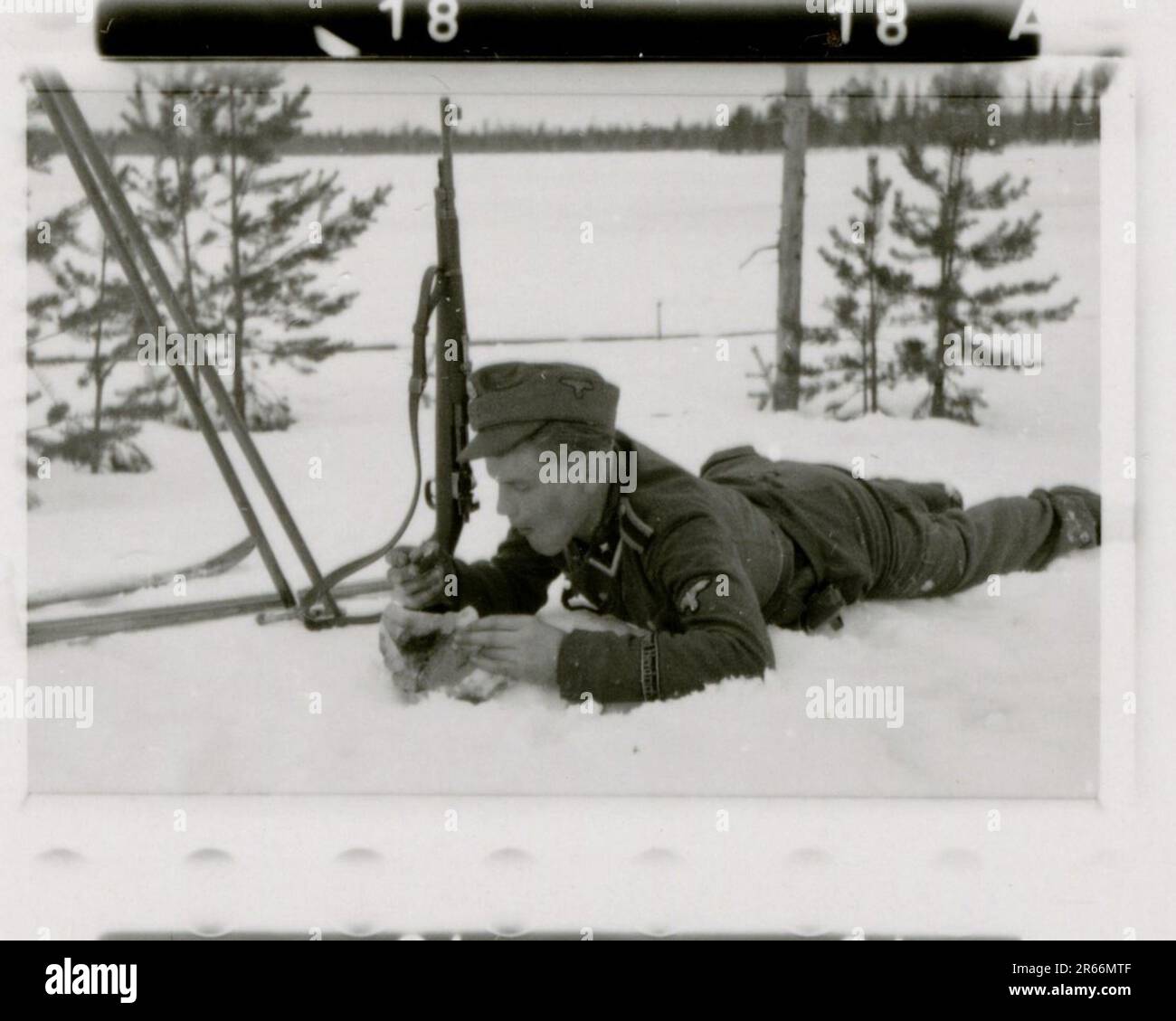 SS Photographer Blaurock, France, Finland 1942-44 SS Soldier portrait ...