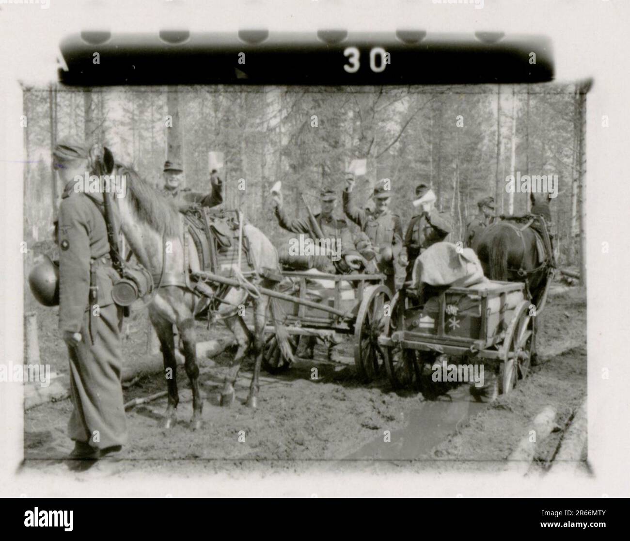 SS Photographer Blaurock, France, Finland 1942-44 SS Soldier portrait ...