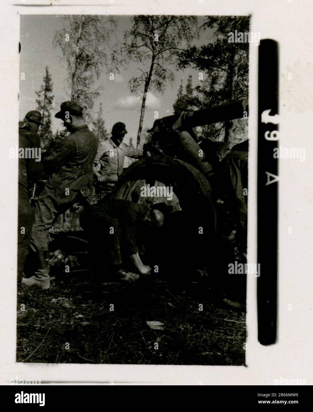 SS Photographer Blaurock, France, Finland 1942-44 SS Soldier portrait ...