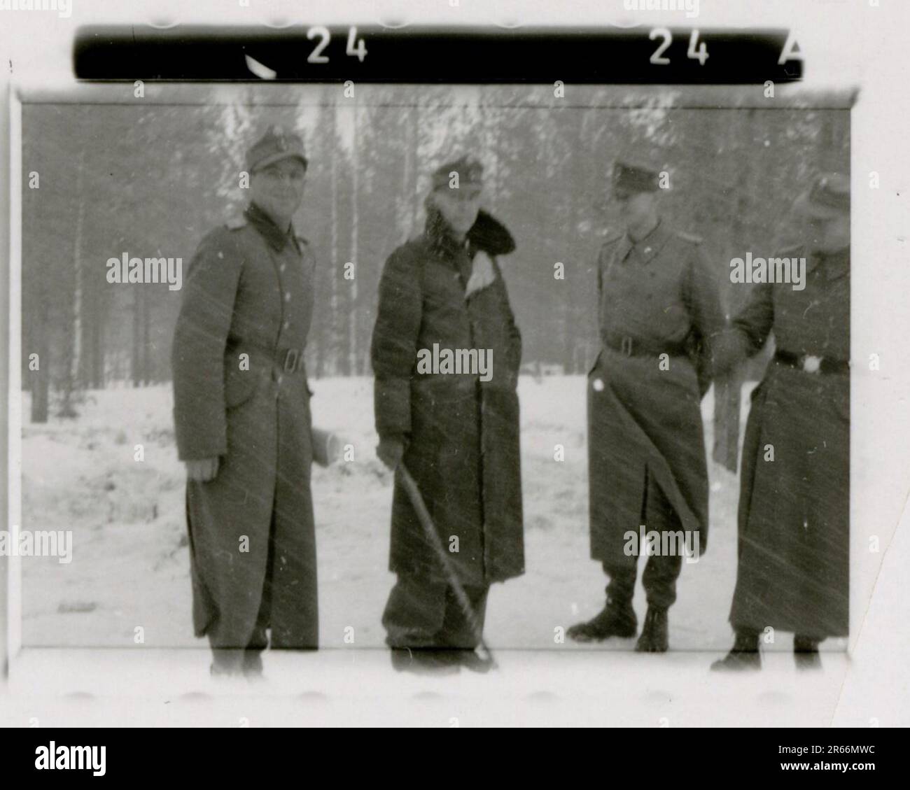 SS Photographer Blaurock, France, Finland 1942-44 SS Soldier portrait ...