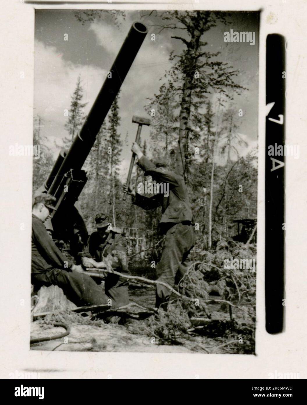 SS Photographer Blaurock, France, Finland 1942-44 SS Soldier portrait ...