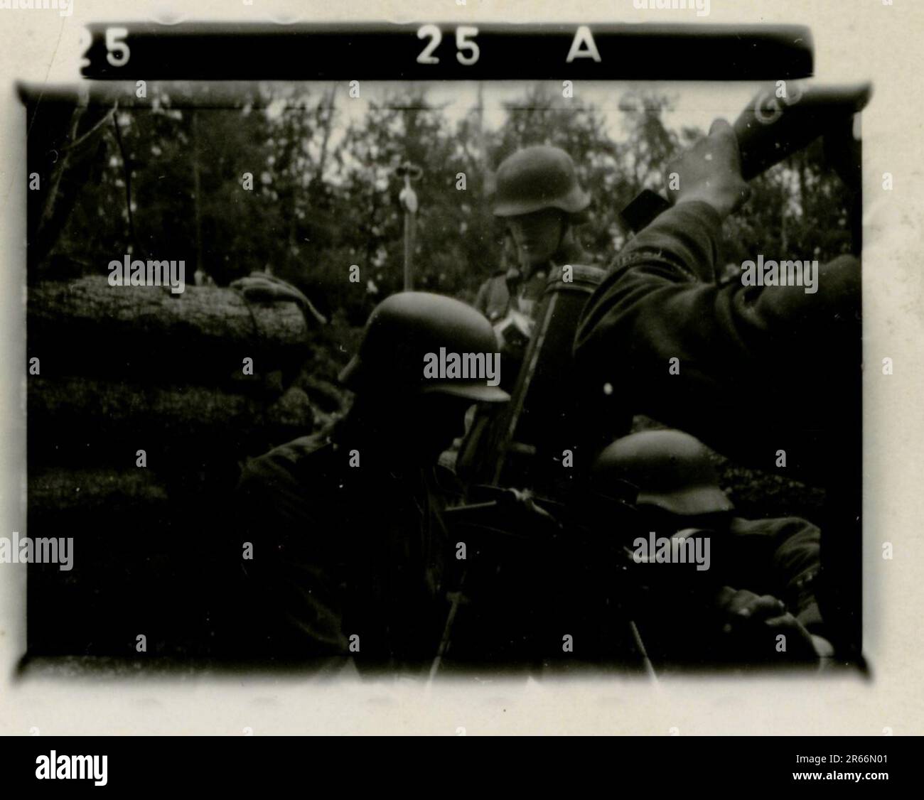 SS Photographer Blaurock, France, Finland 1942-44 SS Soldier portrait ...