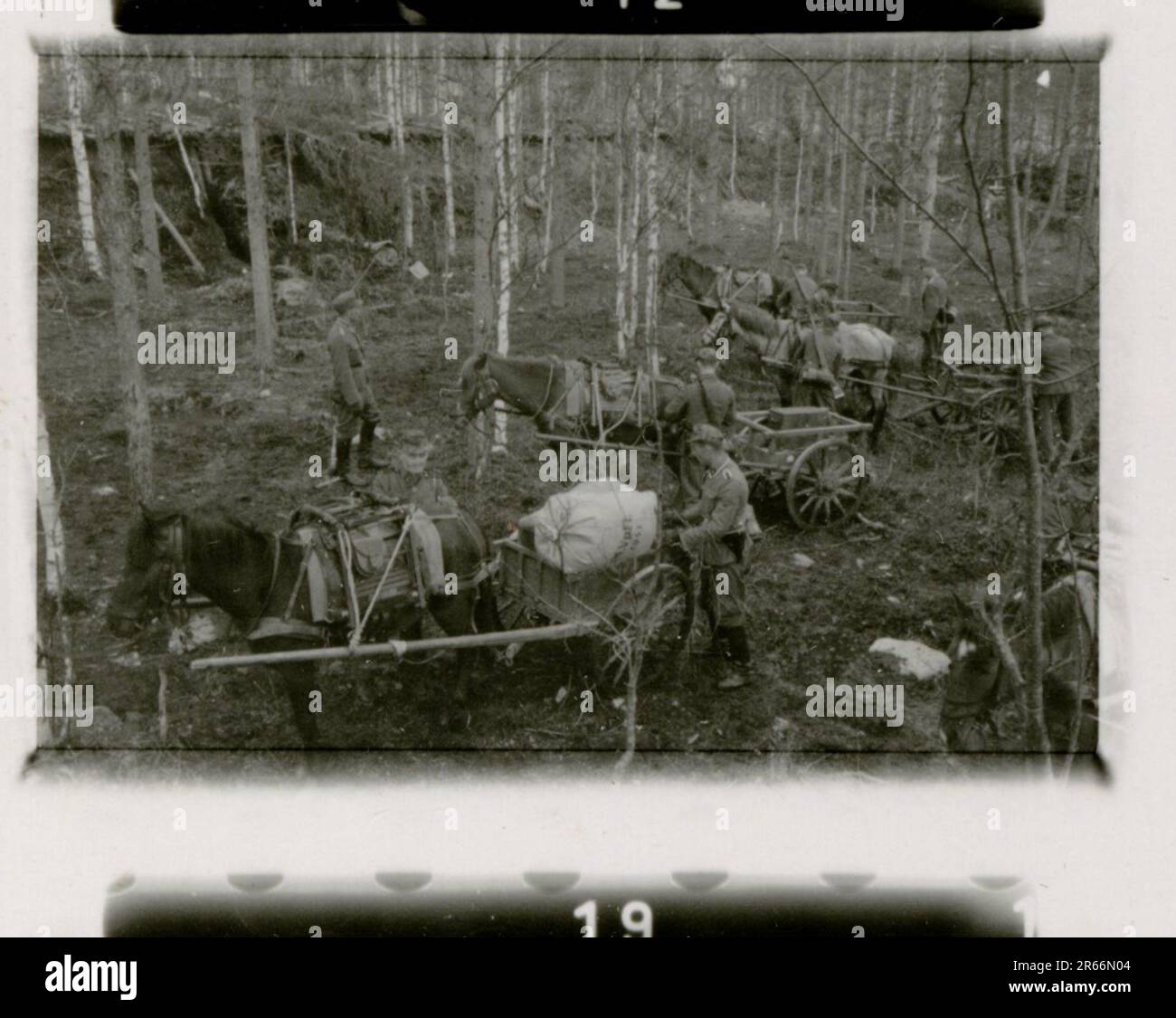 SS Photographer Blaurock, France, Finland 1942-44 SS Soldier portrait ...