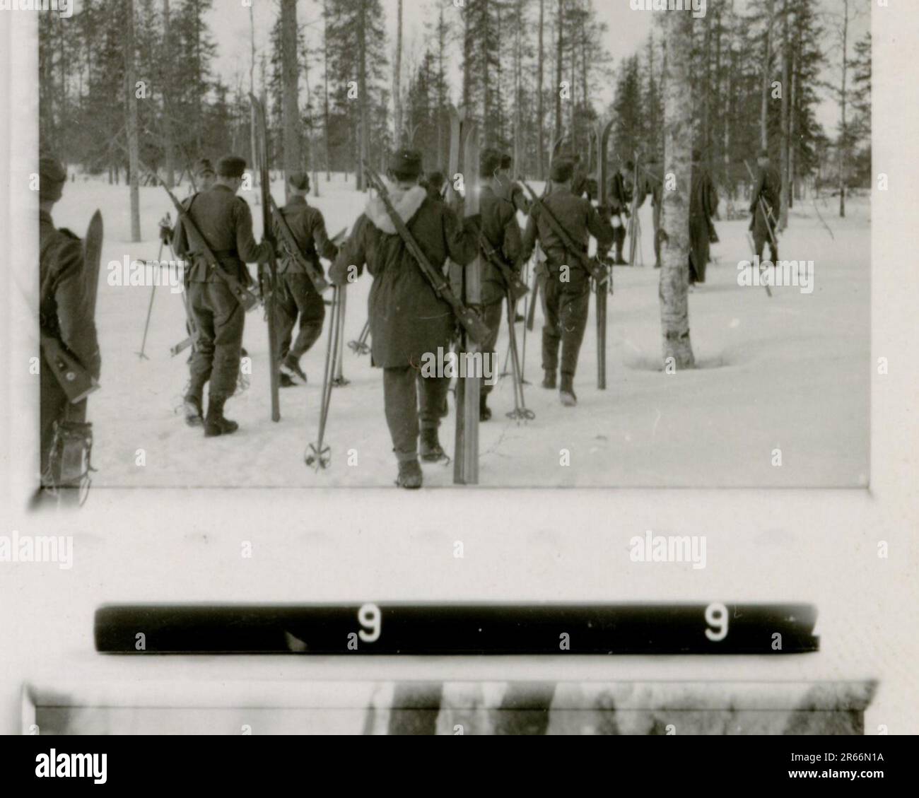 SS Photographer Blaurock, France, Finland 1942-44 SS Soldier portrait ...