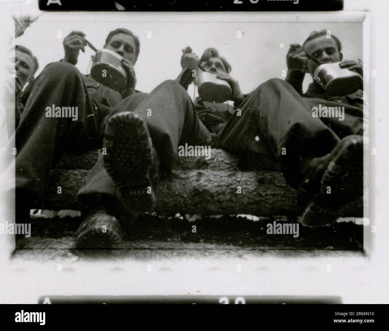 SS Photographer Blaurock, France, Finland 1942-44 SS Soldier portrait ...