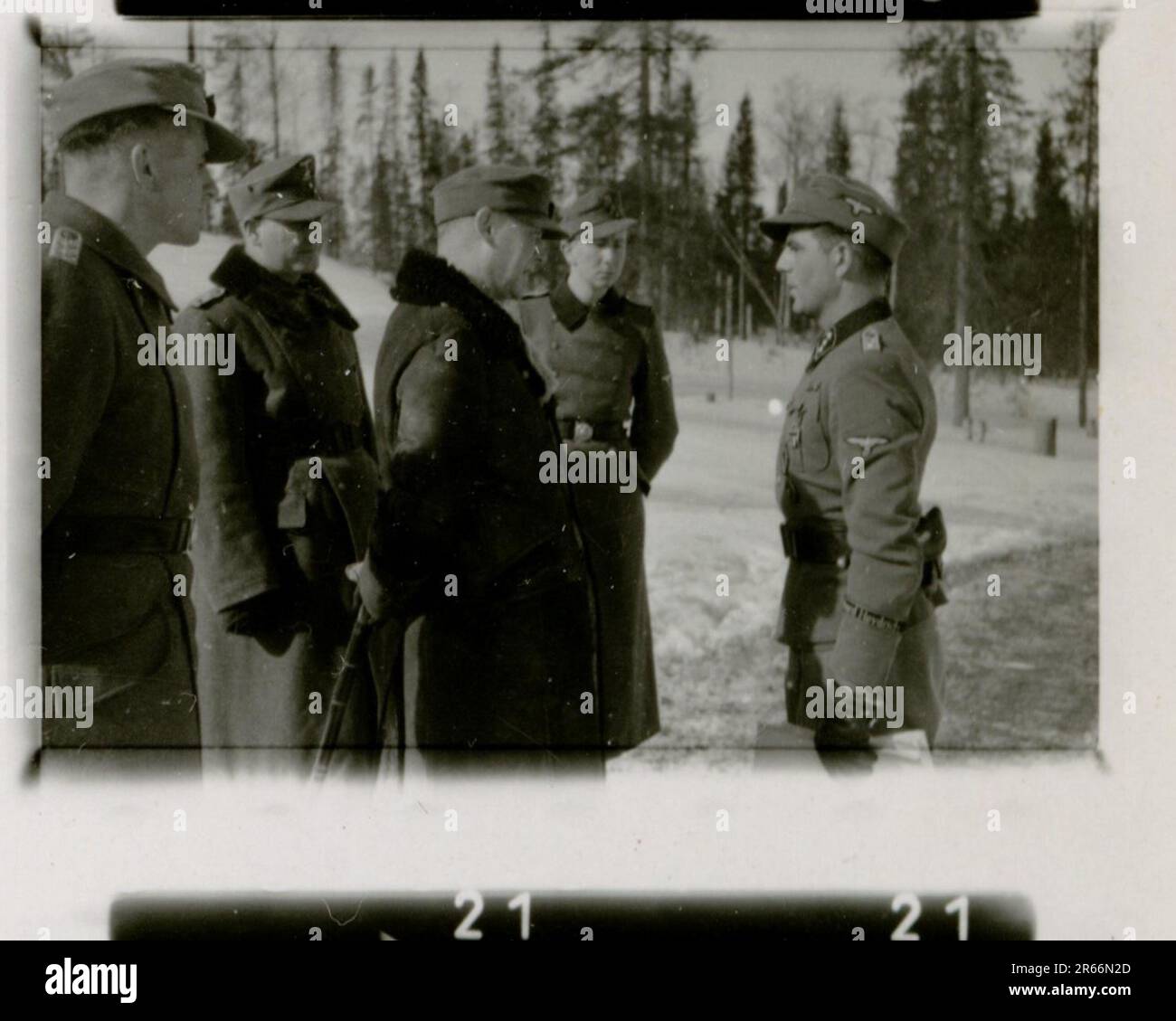 SS Photographer Blaurock, France, Finland 1942-44 SS Soldier portrait ...