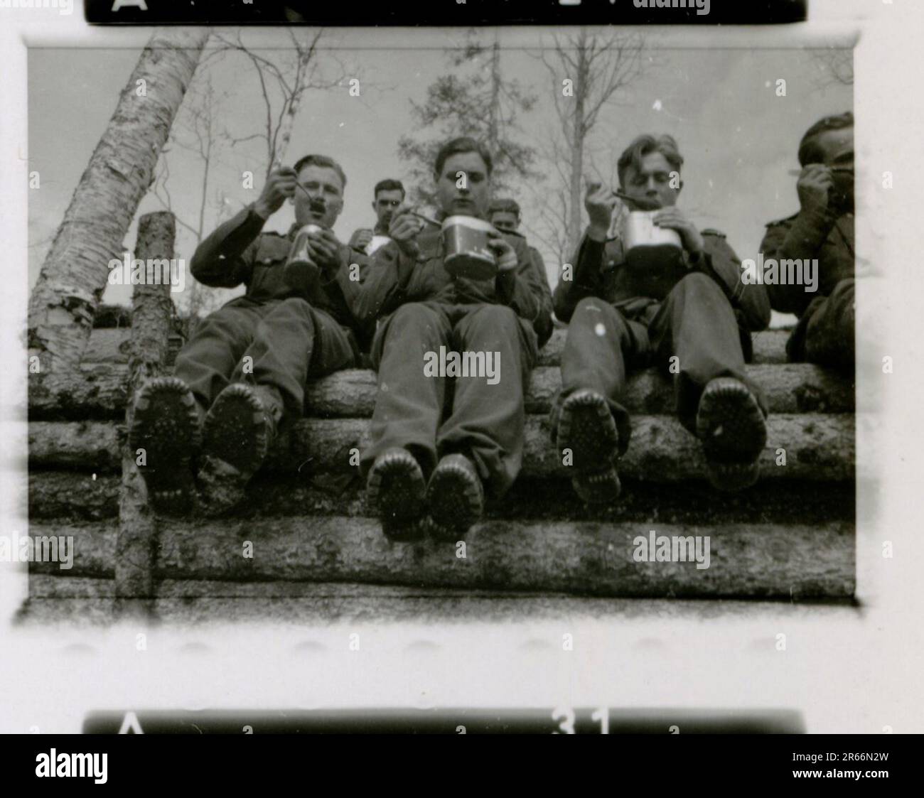 SS Photographer Blaurock, France, Finland 1942-44 SS Soldier portrait ...