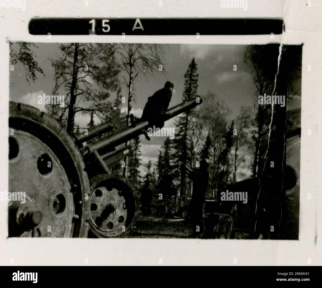 SS Photographer Blaurock, France, Finland 1942-44 SS Soldier portrait ...