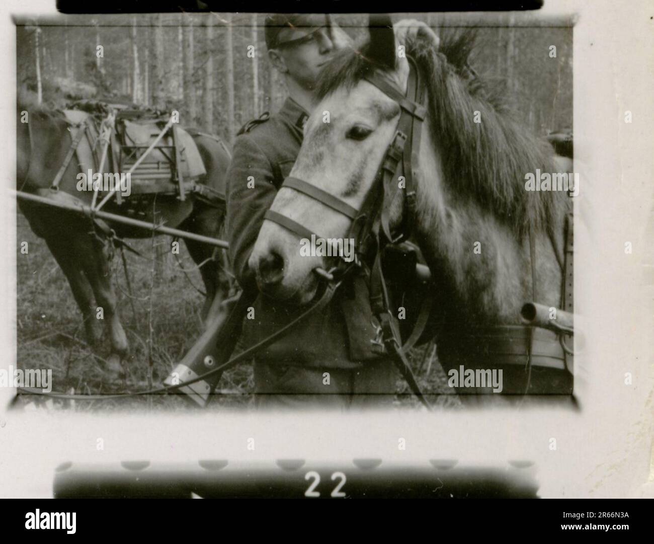 SS Photographer Blaurock, France, Finland 1942-44 SS Soldier portrait ...