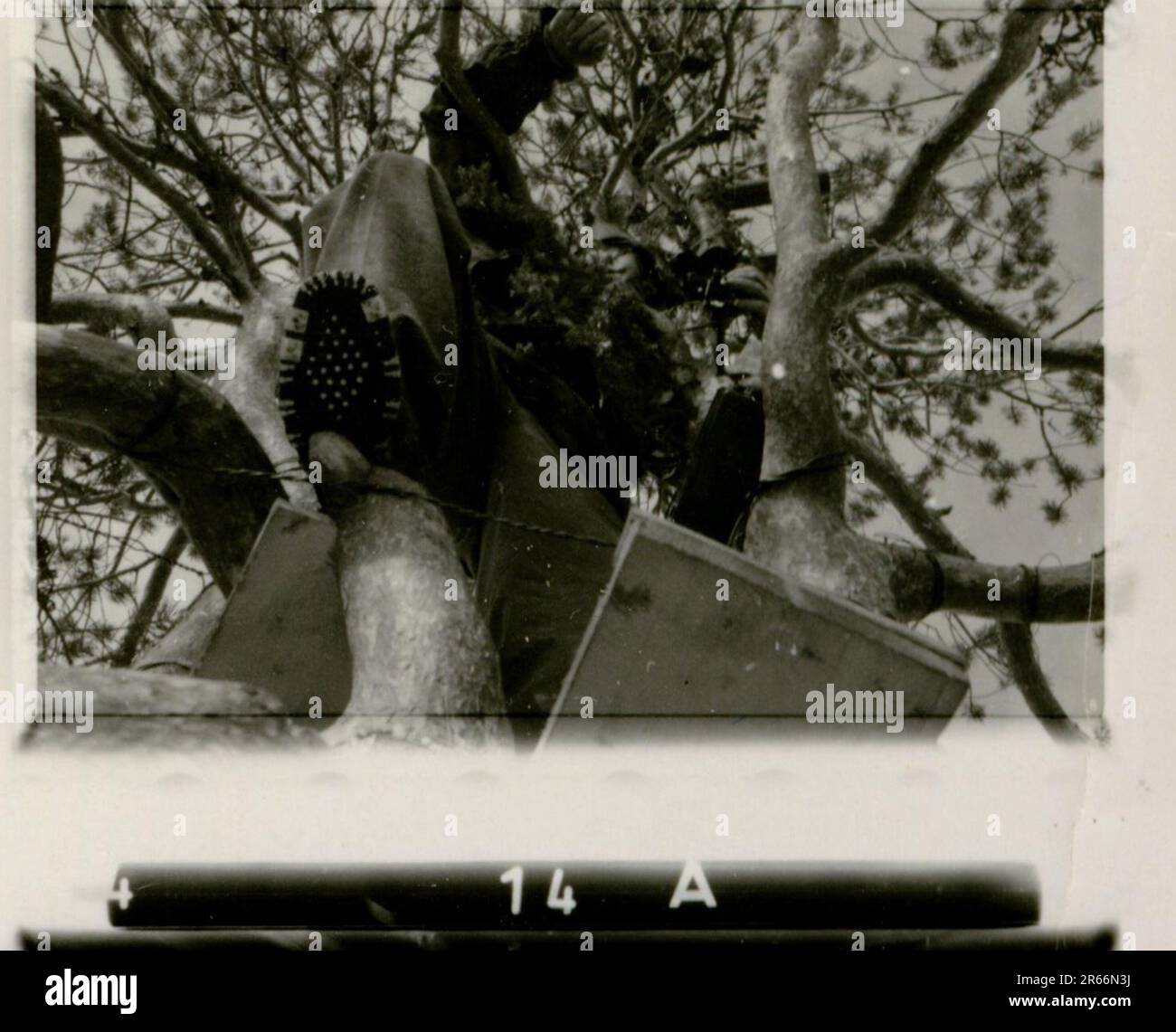 SS Photographer Blaurock, France, Finland 1942-44 SS Soldier portrait ...