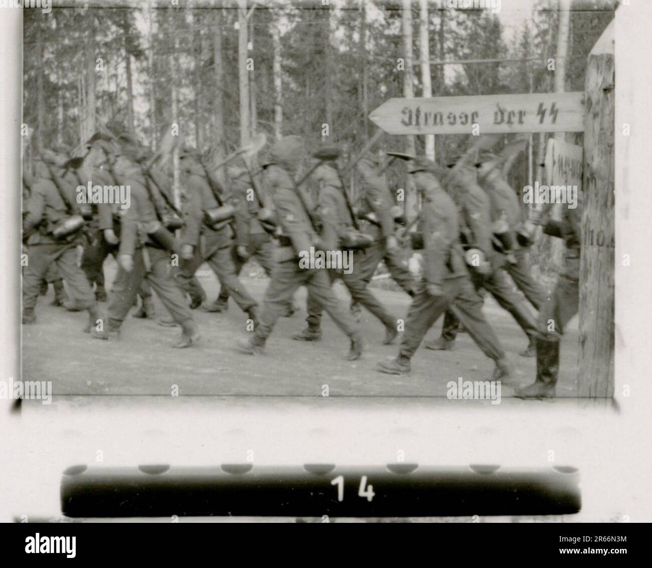 SS Photographer Blaurock, France, Finland 1942-44 SS Soldier portrait ...