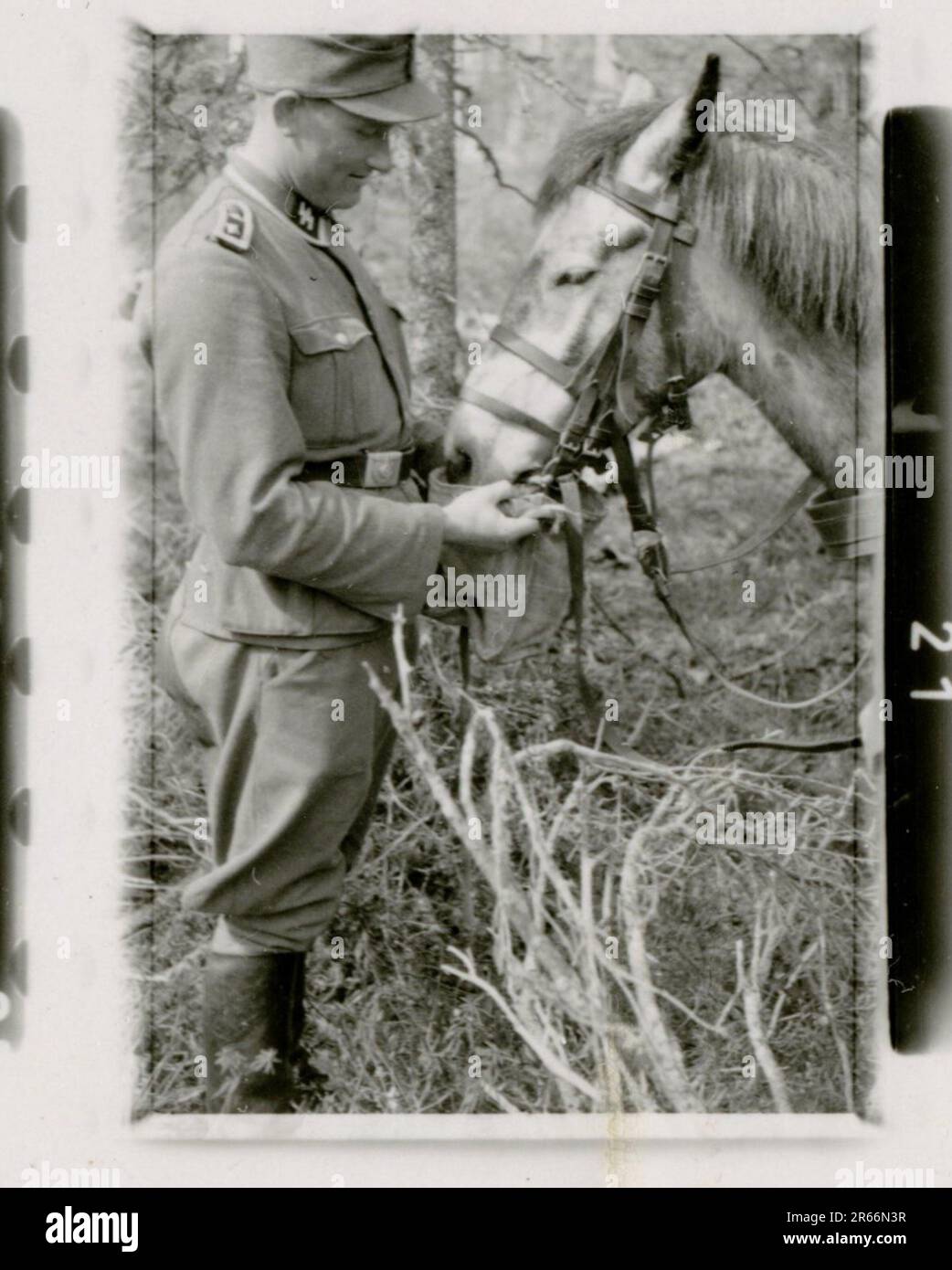 SS Photographer Blaurock, France, Finland 1942-44 SS Soldier portrait ...