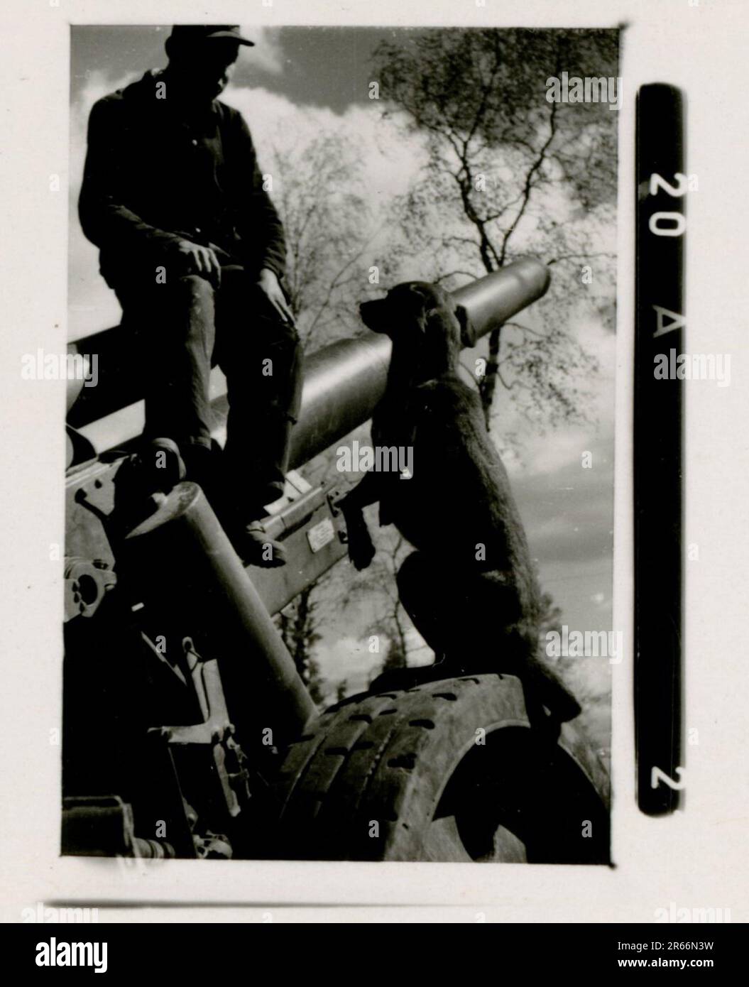 SS Photographer Blaurock, France, Finland 1942-44 SS Soldier portrait ...