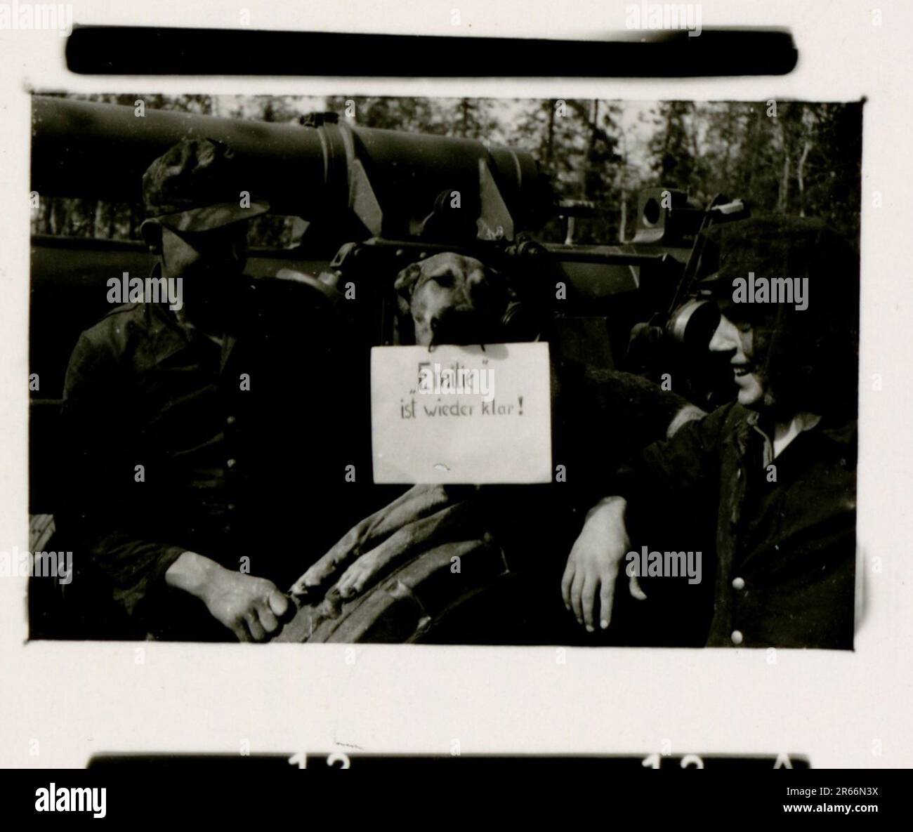 SS Photographer Blaurock, France, Finland 1942-44 SS Soldier portrait ...