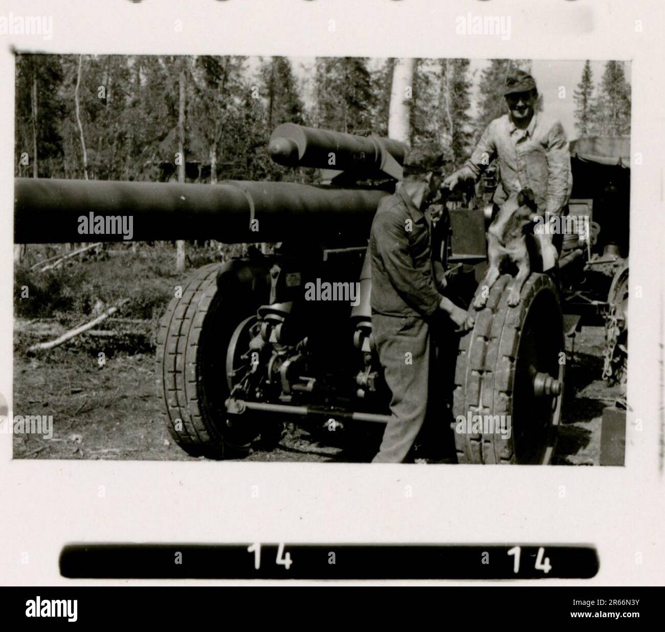 SS Photographer Blaurock, France, Finland 1942-44 SS Soldier portrait ...