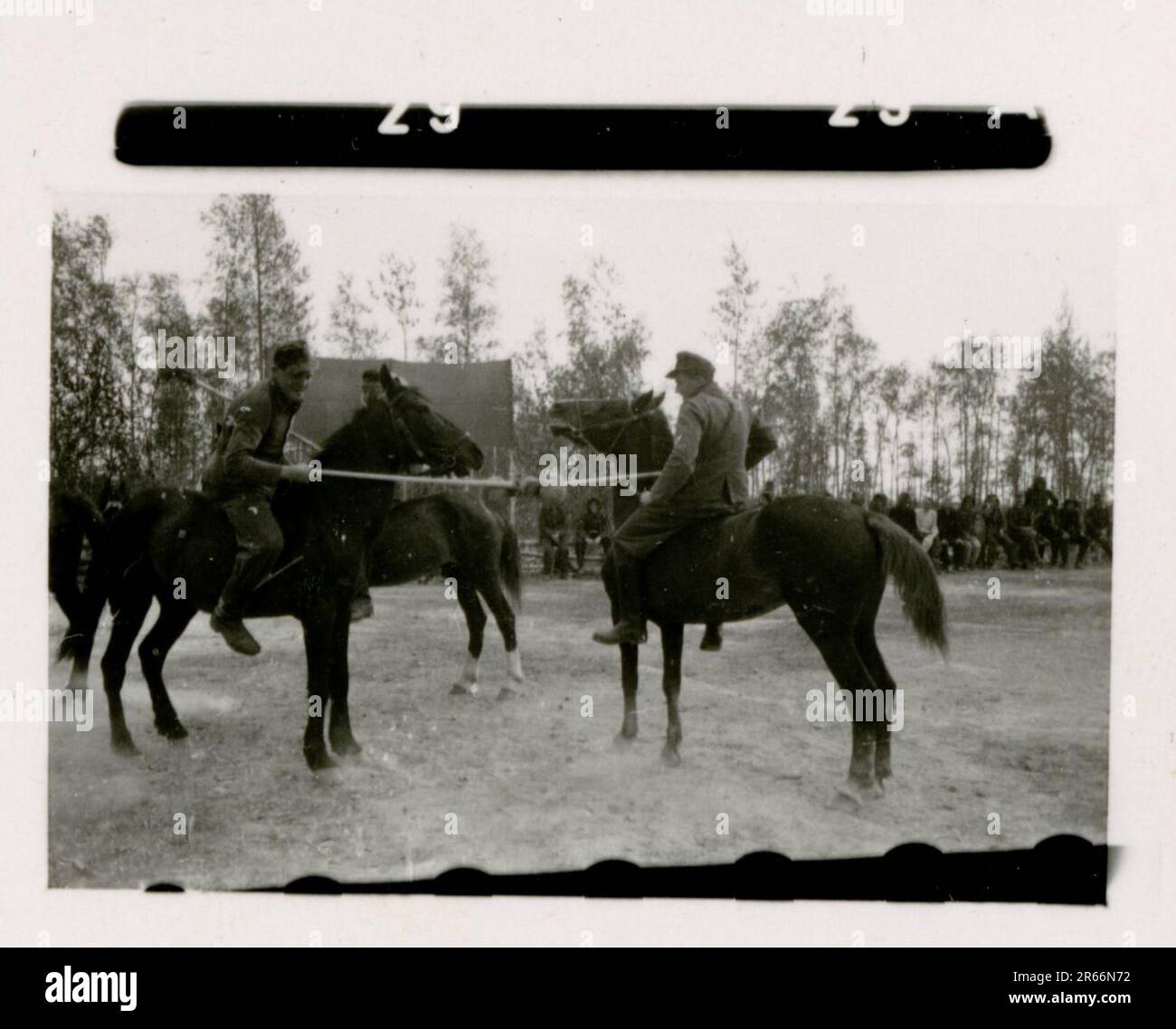 SS Photographer Blaurock, France, Finland 1942-44 SS Soldier portrait ...