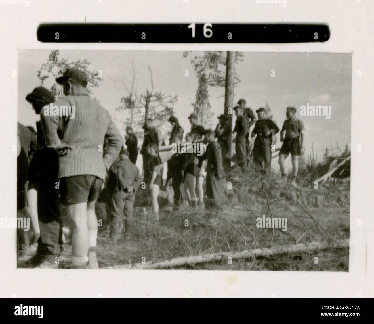 SS Photographer Blaurock, France, Finland 1942-44 SS Soldier portrait ...