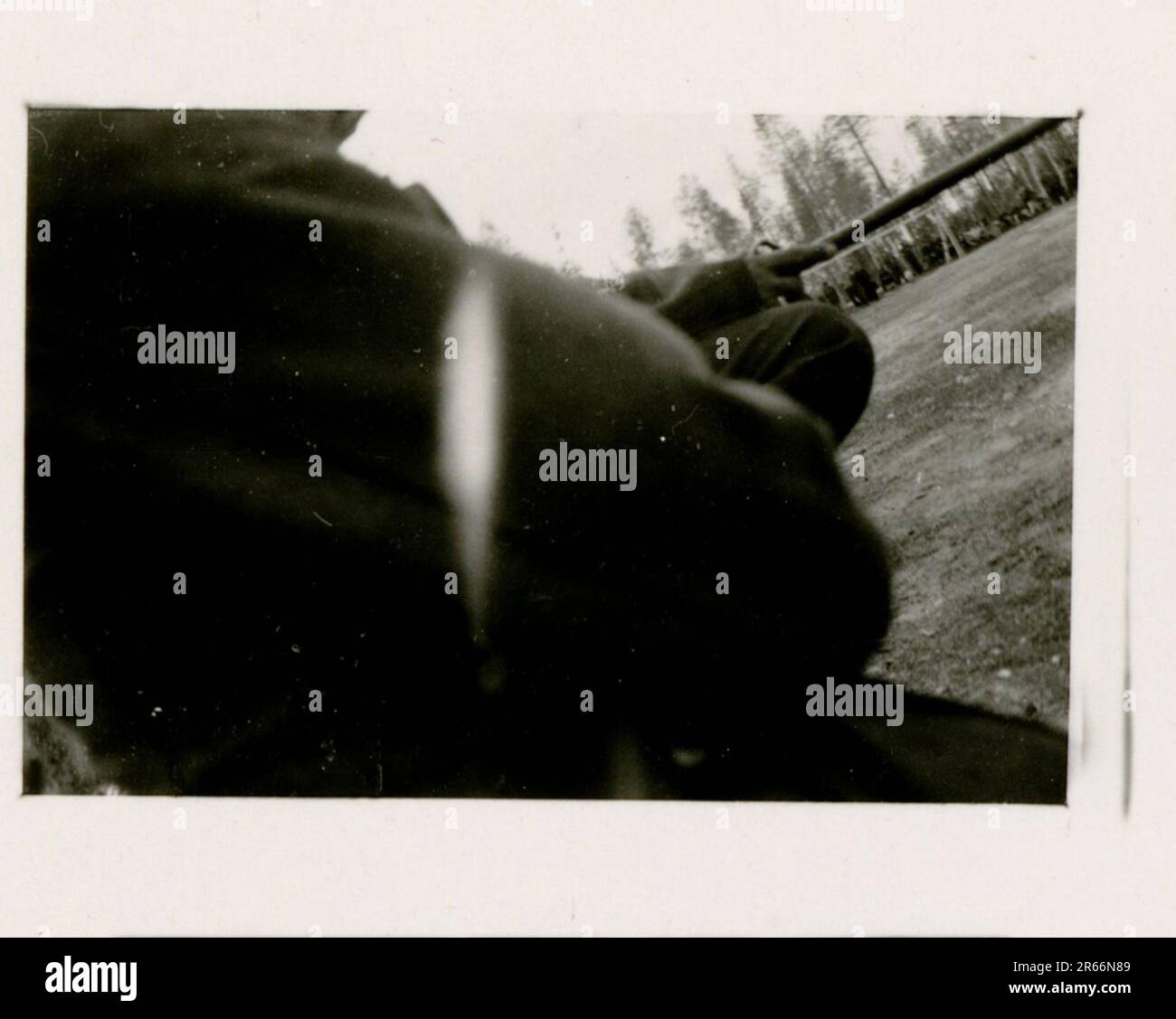 SS Photographer Blaurock, France, Finland 1942-44 SS Soldier portrait ...