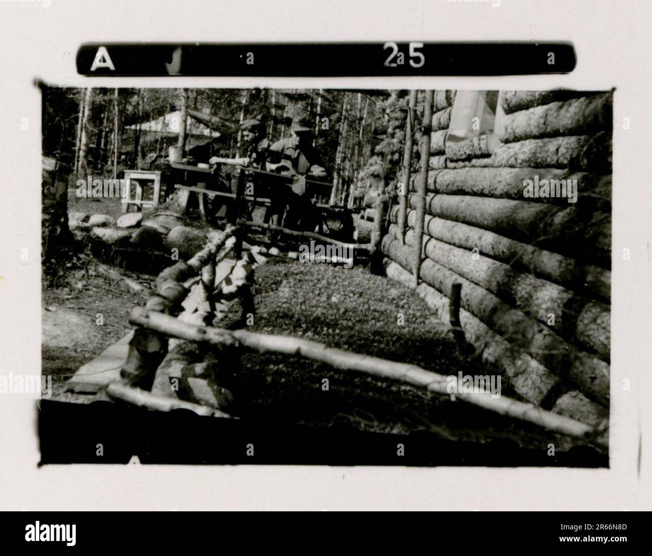 SS Photographer Blaurock, France, Finland 1942-44 SS Soldier portrait ...