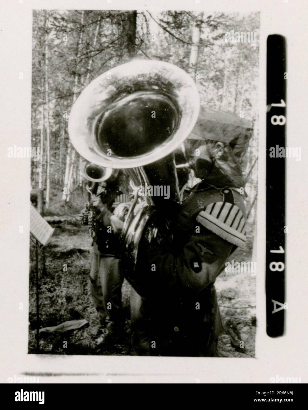 SS Photographer Blaurock, France, Finland 1942-44 SS Soldier portrait ...