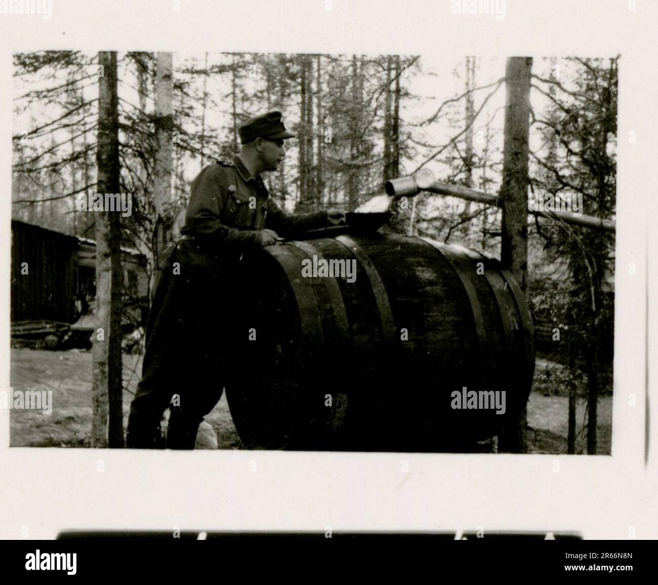 SS Photographer Blaurock, France, Finland 1942-44 SS Soldier portrait ...