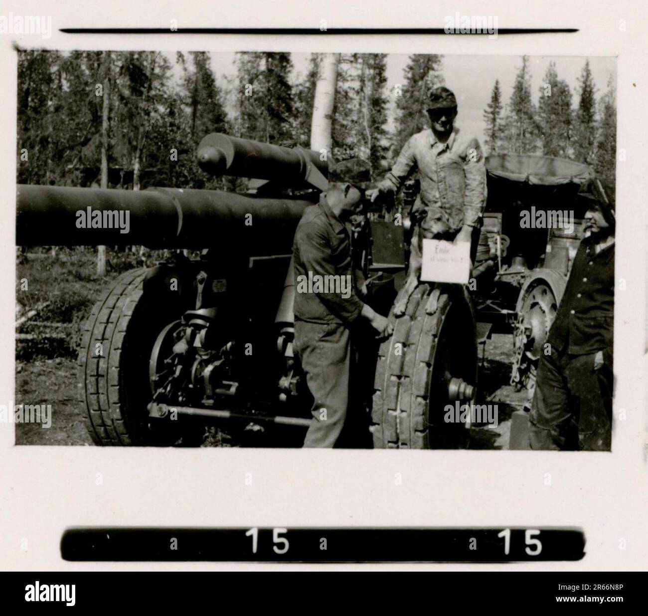 SS Photographer Blaurock, France, Finland 1942-44 SS Soldier portrait ...