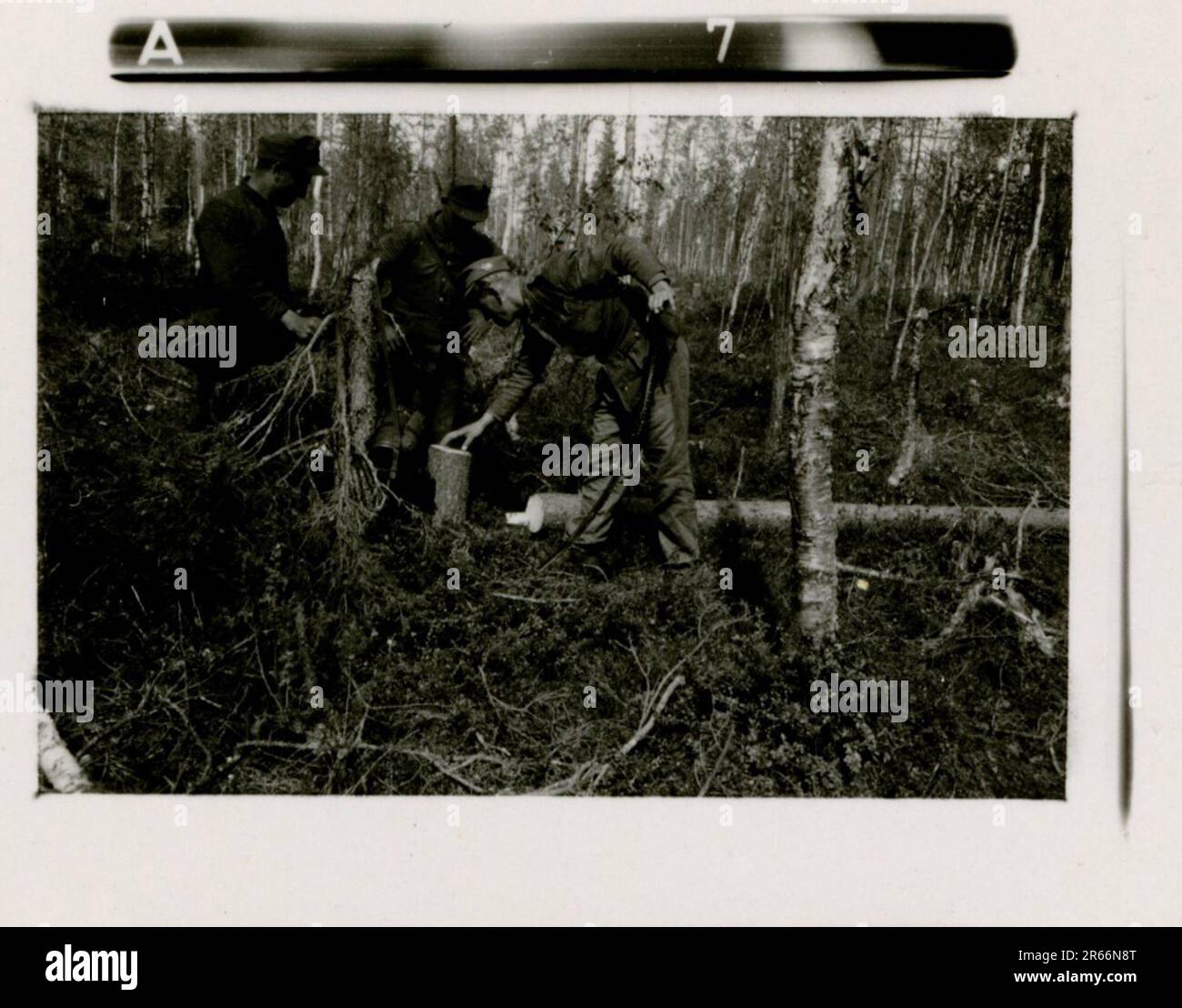 SS Photographer Blaurock, France, Finland 1942-44 SS Soldier portrait ...