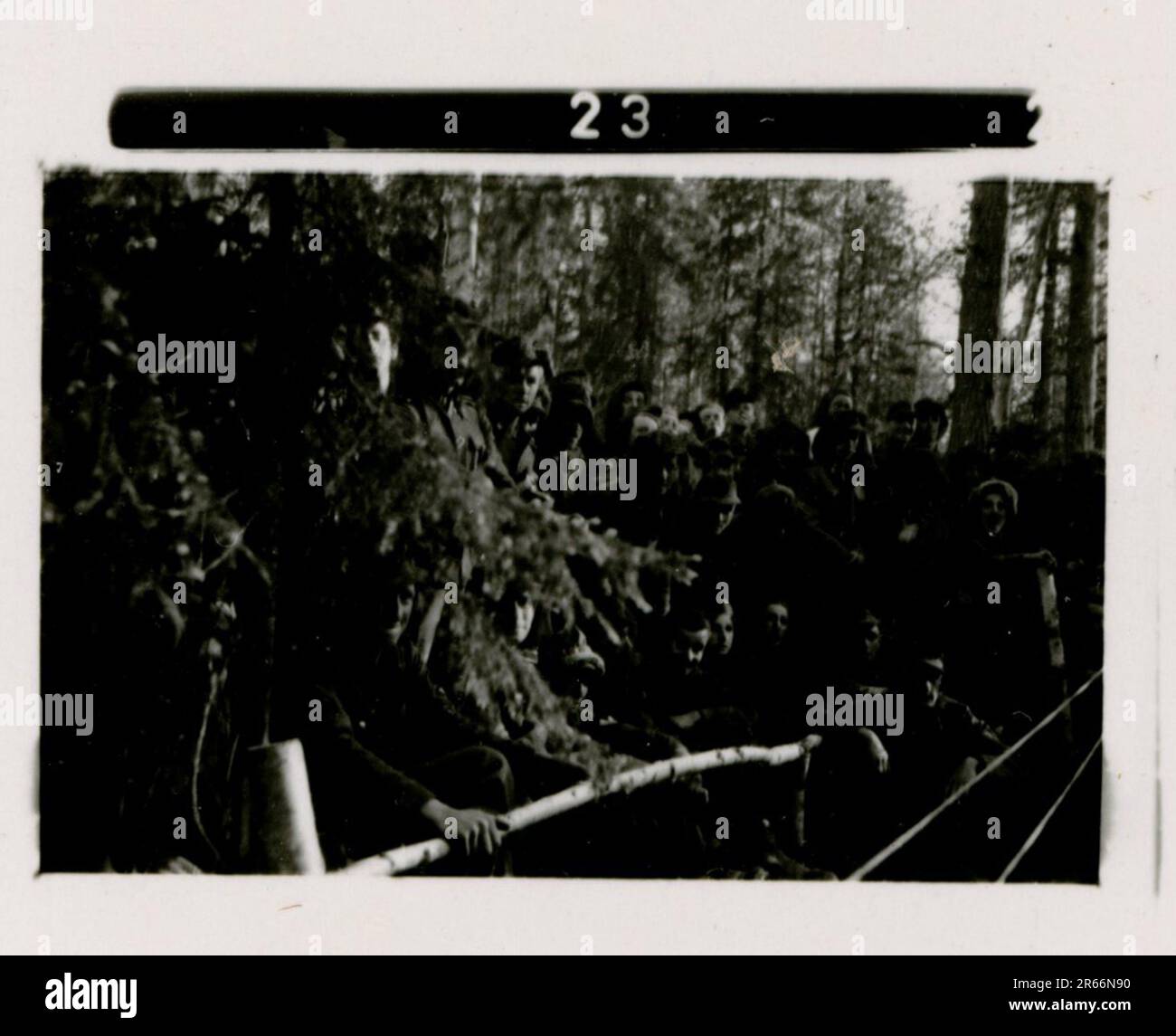 SS Photographer Blaurock, France, Finland 1942-44 SS Soldier portrait ...