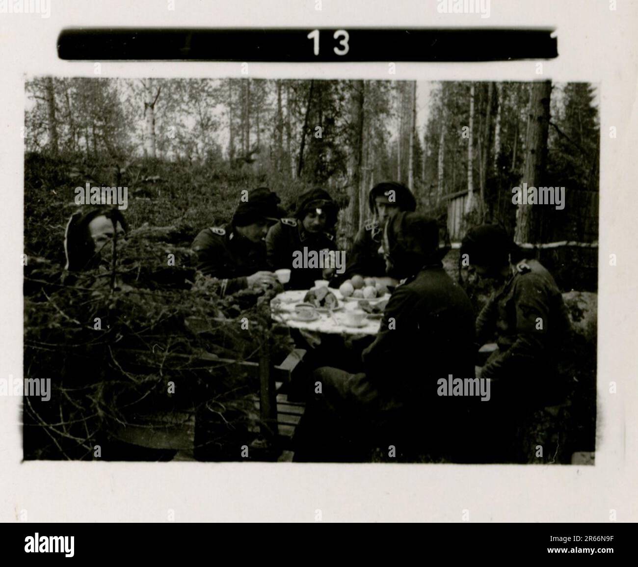 SS Photographer Blaurock, France, Finland 1942-44 SS Soldier portrait ...