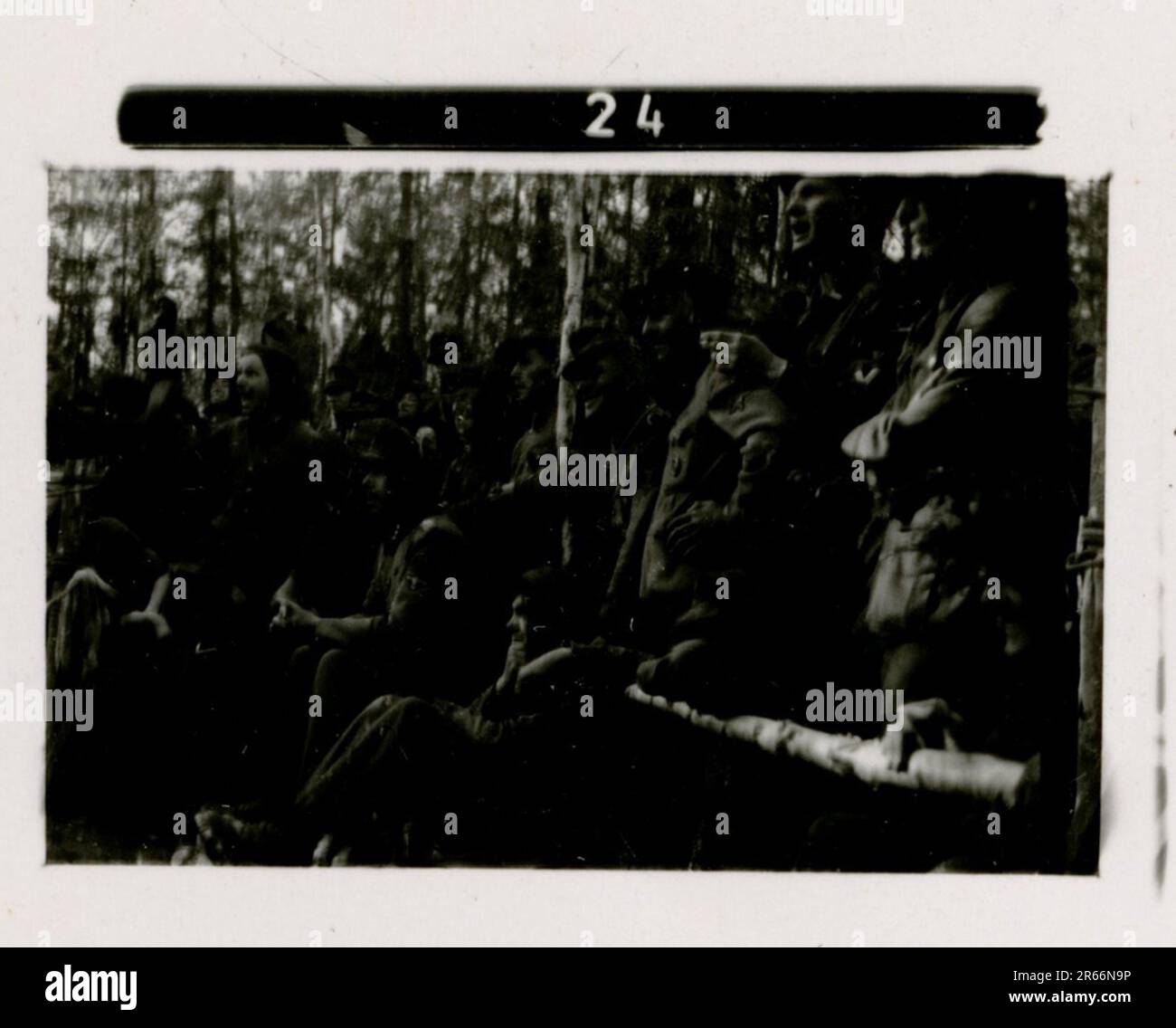 SS Photographer Blaurock, France, Finland 1942-44 SS Soldier portrait ...