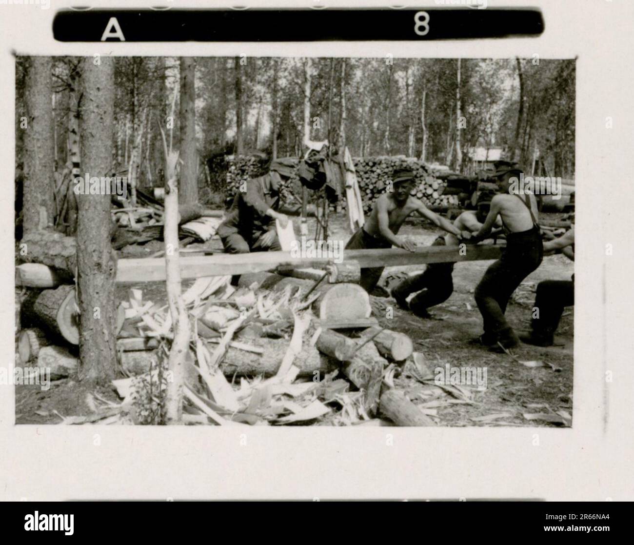SS Photographer Blaurock, France, Finland 1942-44 SS Soldier portrait ...
