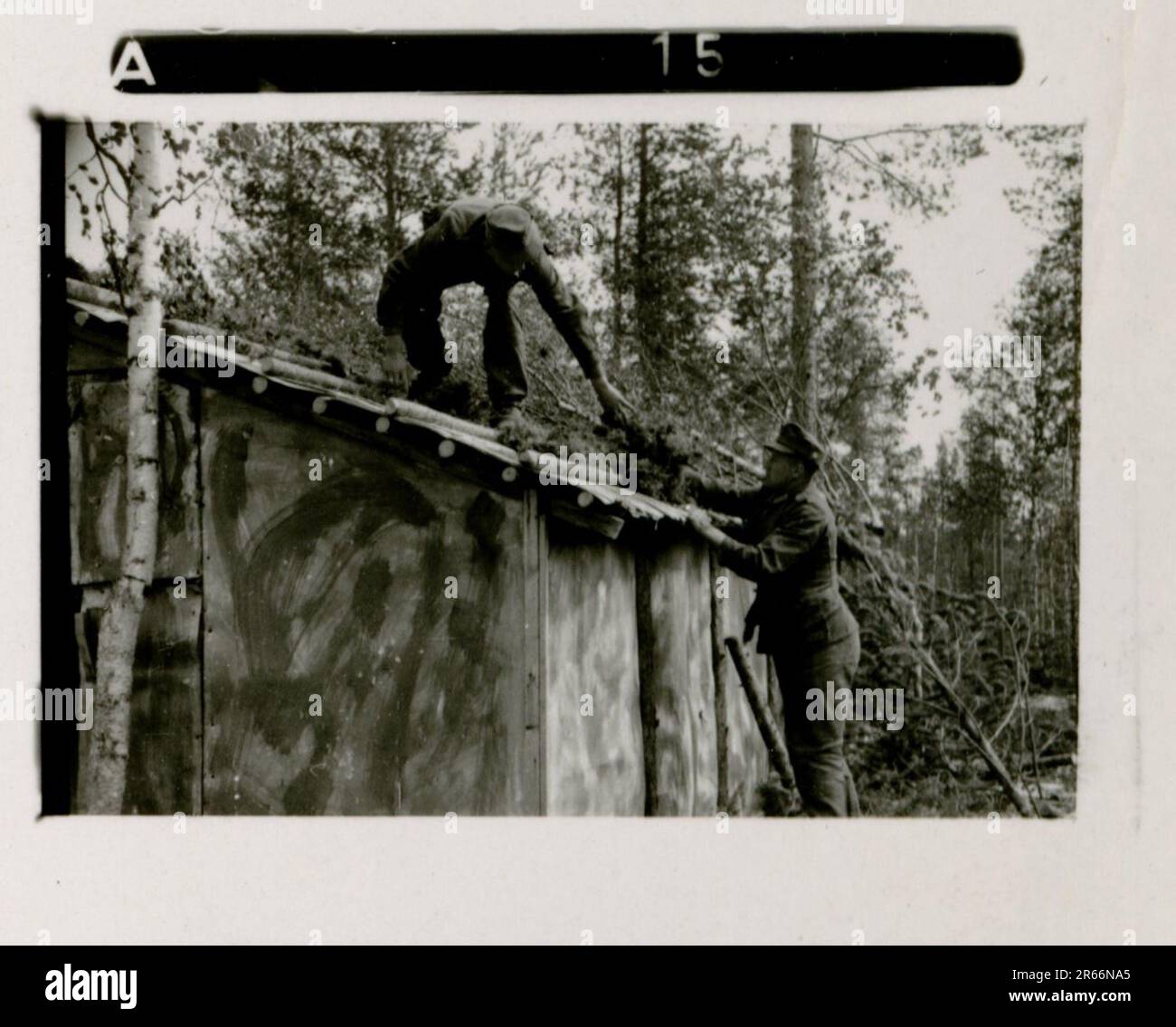SS Photographer Blaurock, France, Finland 1942-44 SS Soldier portrait ...
