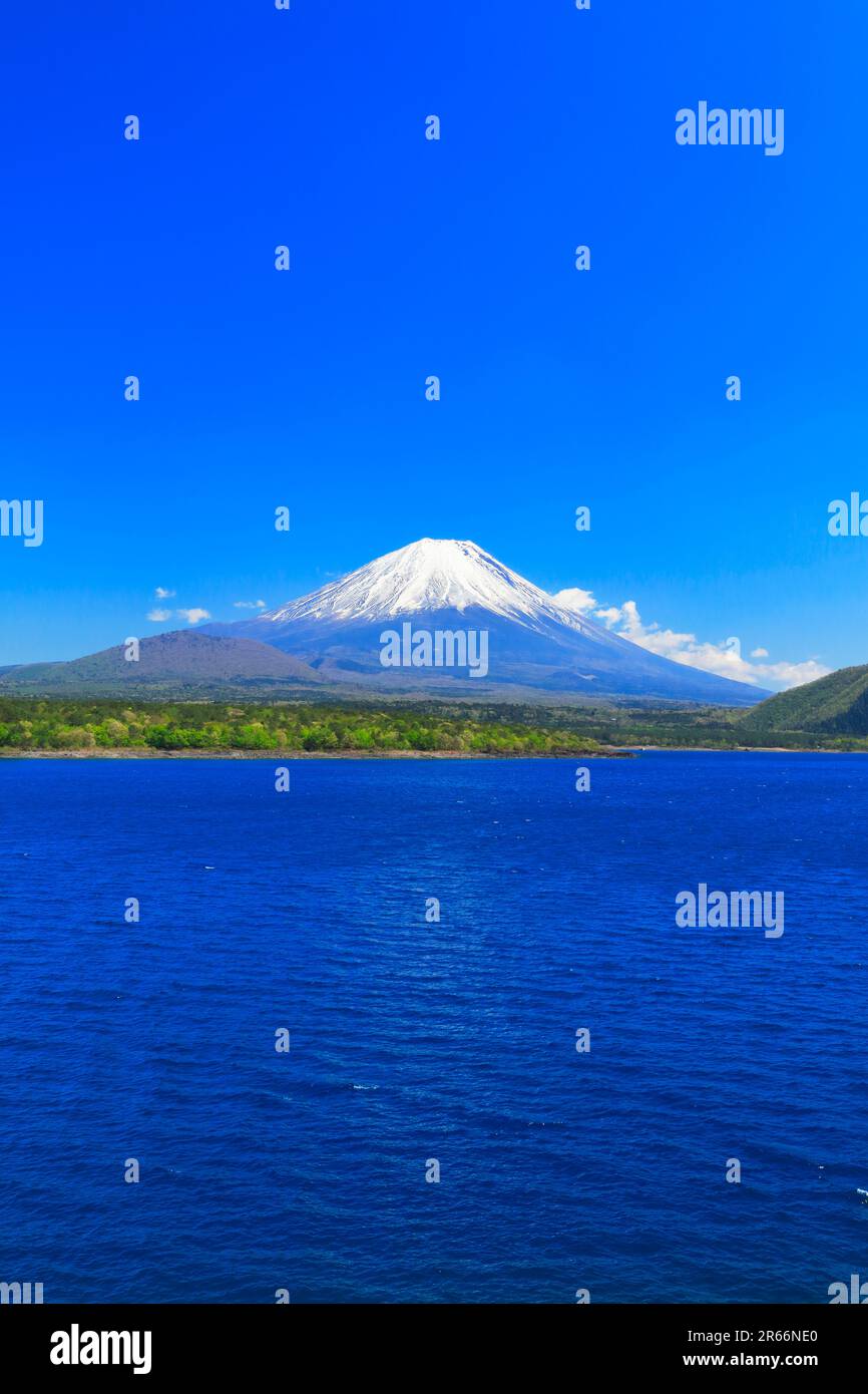 Snowy Mt. Fuji and Fresh Green Lake Motosuko Stock Photo - Alamy