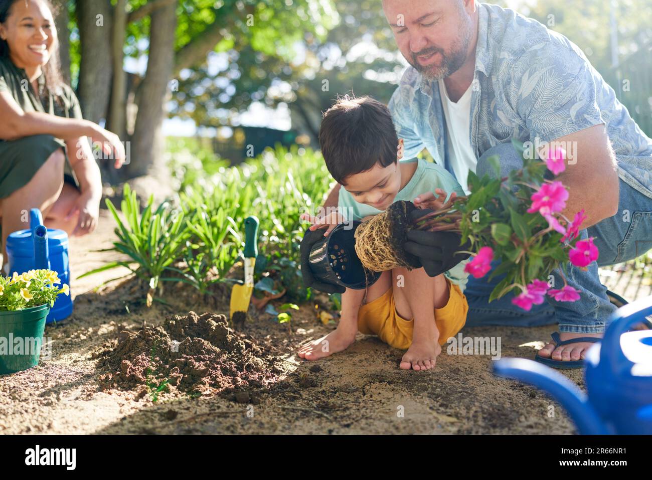 Father helping son with Down Syndrome planting flowers in garden Stock ...