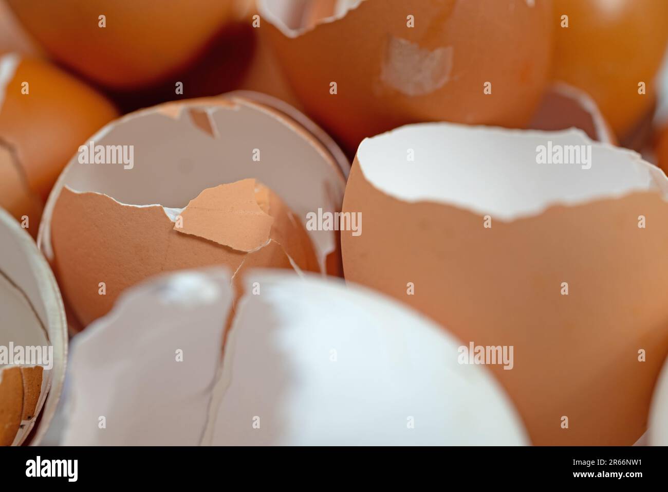 Egg shells in a closeup Stock Photo - Alamy