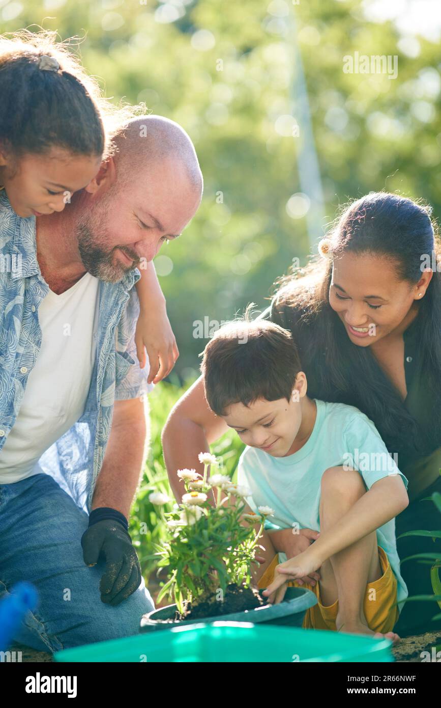 Happy family planting flowers in sunny garden Stock Photo - Alamy