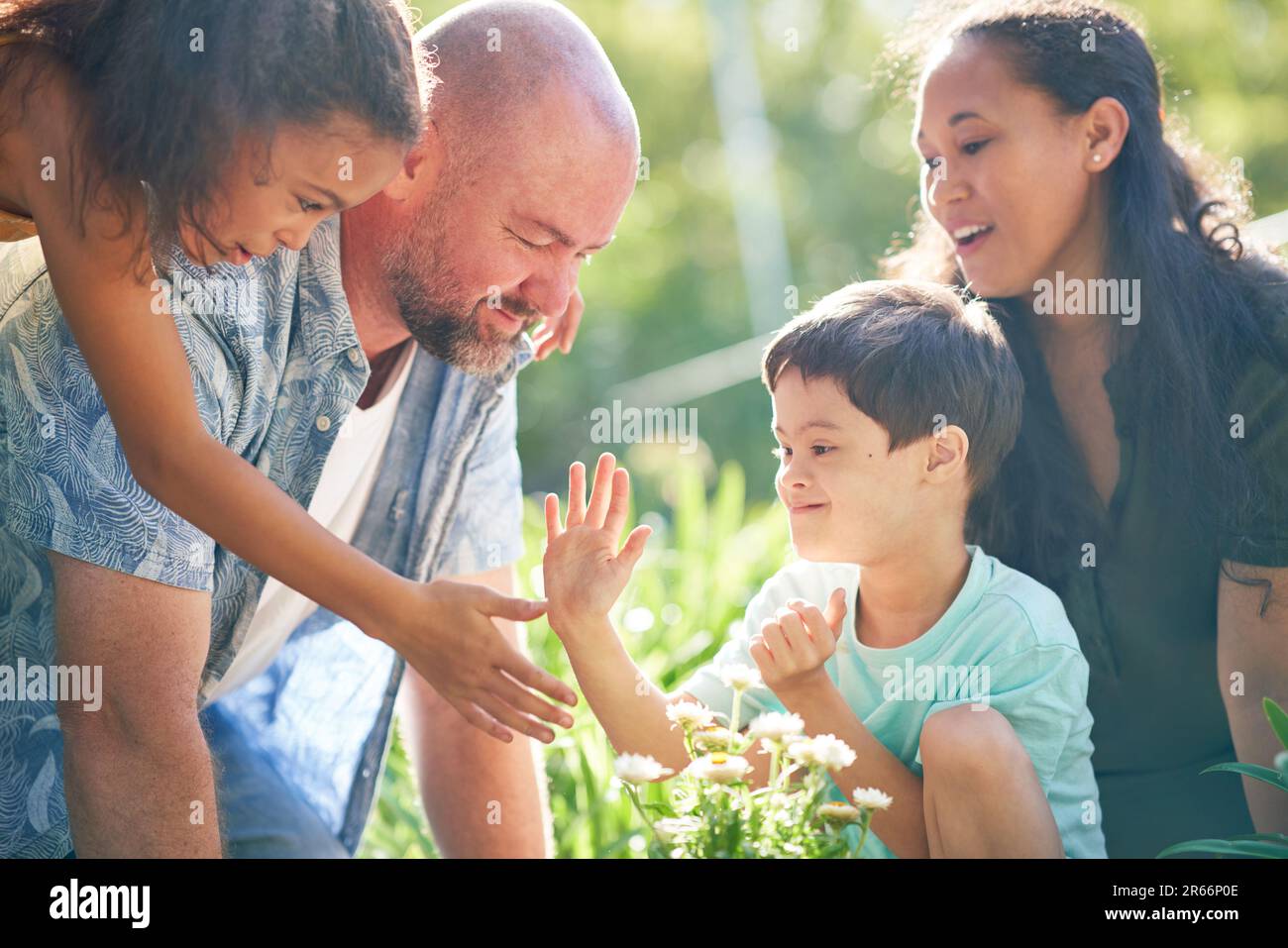 Happy summer flower hi-res stock photography and images - Alamy