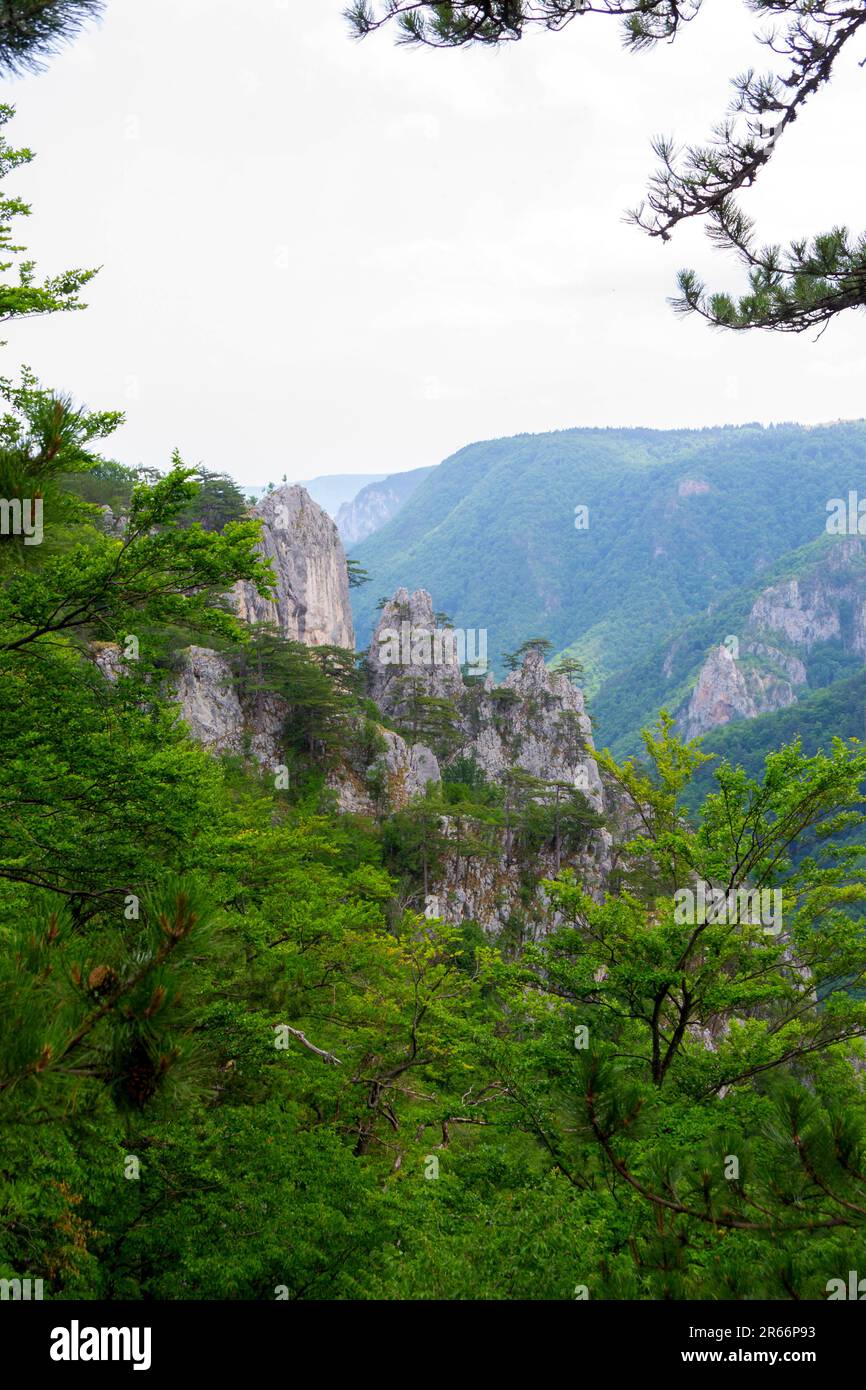 Behold the majestic mountain peaks and immerse yourself in the serene ...