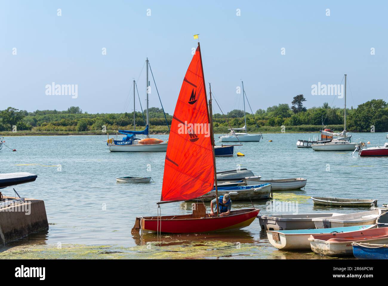 Man rigging his Mirror Dinghy to go sailing Stock Photo - Alamy