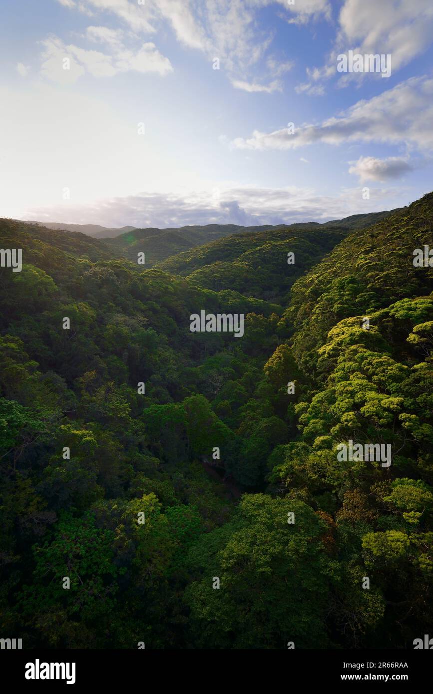 Yanbaru hi-res stock photography and images - Alamy