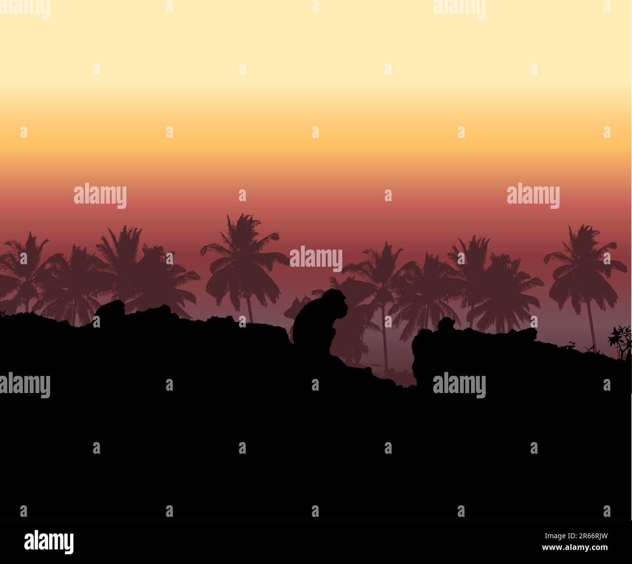Tropical sunset, palm tree silhouette Stock Vector Image & Art - Alamy