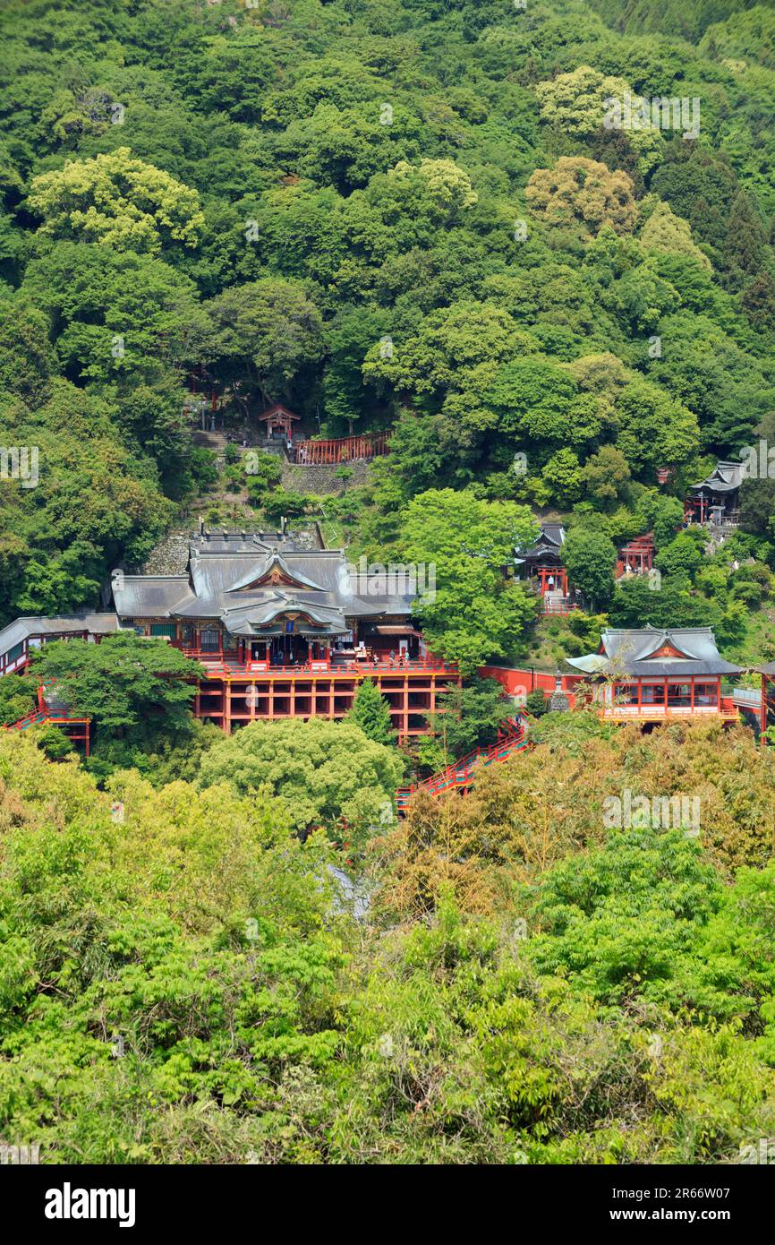 Yutoku Inari Shrine Stock Photo - Alamy