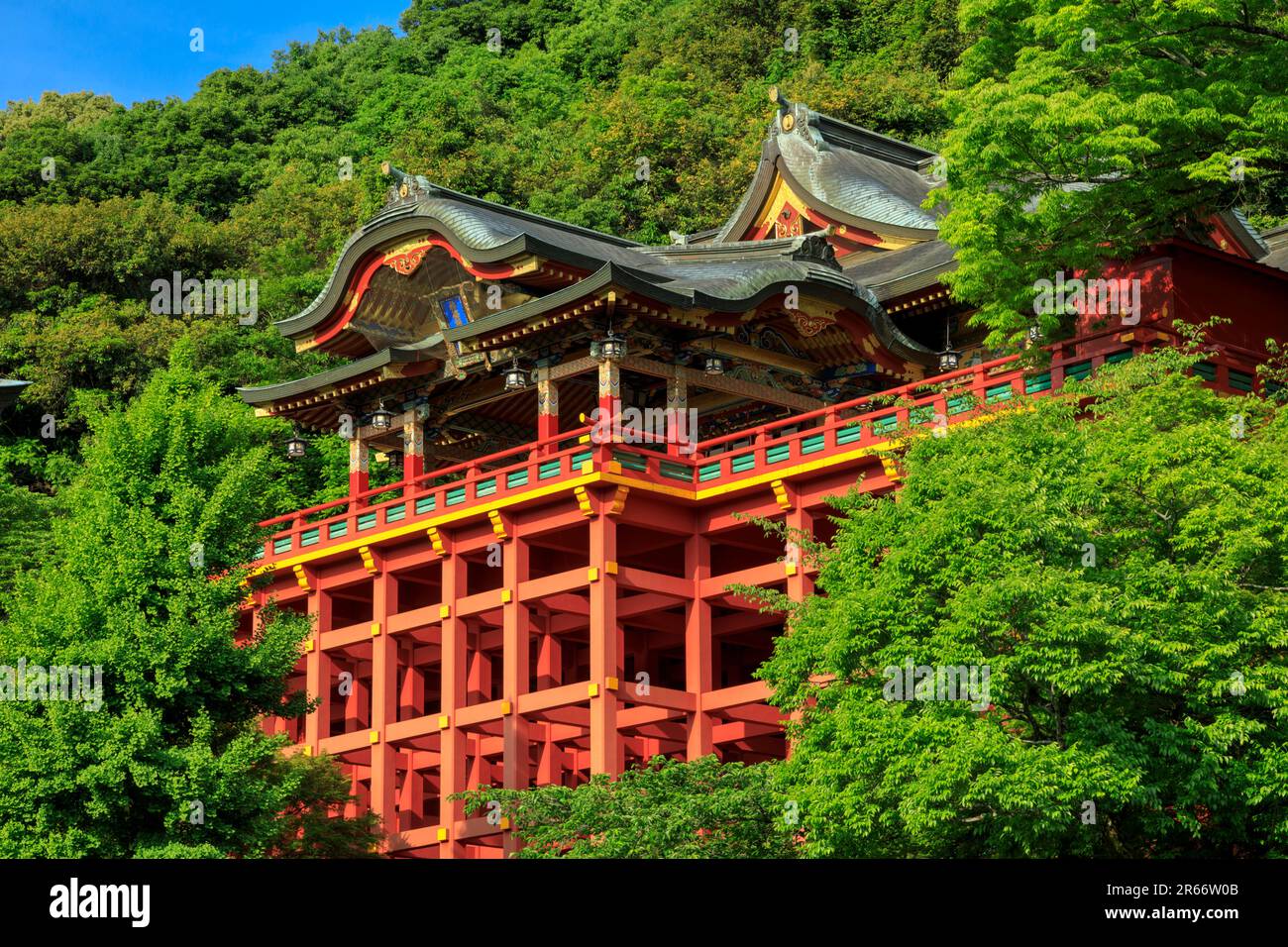 Yutoku Inari Shrine in fresh green Stock Photo - Alamy