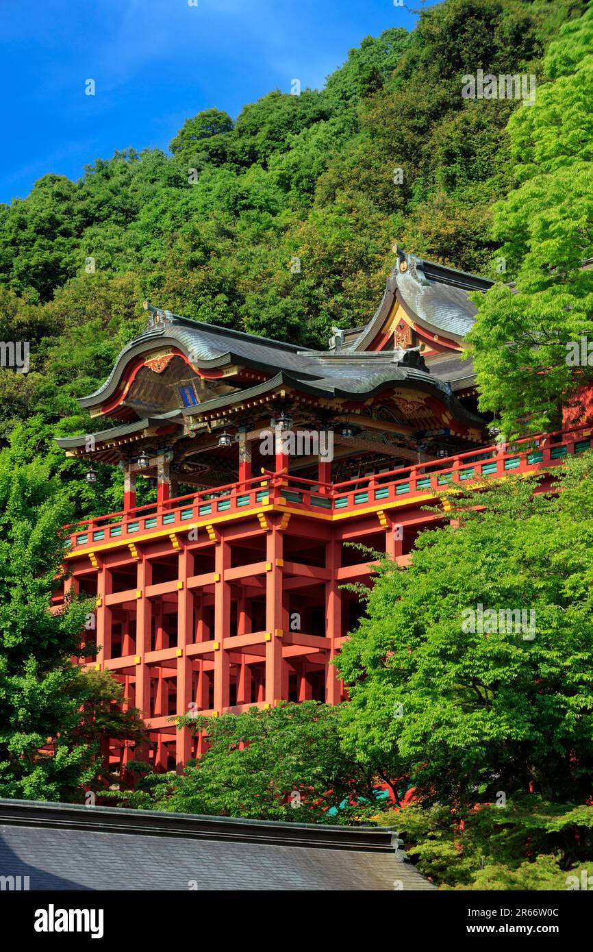 Yutoku Inari Shrine in fresh green Stock Photo - Alamy