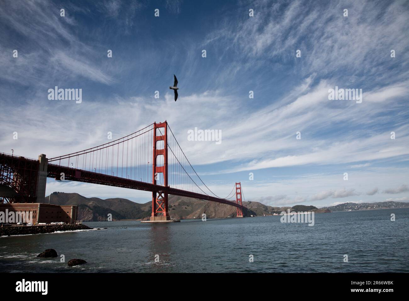 A seagull flying over the Golden Gate bridge, as seen from the distance ...