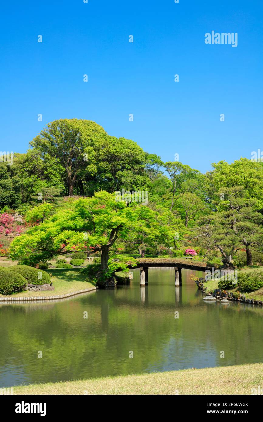 Rikugien in fresh green Stock Photo - Alamy